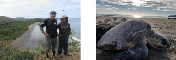 Sea Turtle and Jaguar Research | GDFCF